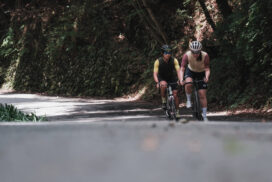 Raphaレビュー: 『プロチーム』の真価と、今ラファを選ぶ理由。 - LOVE CYCLIST – ラブサイクリスト